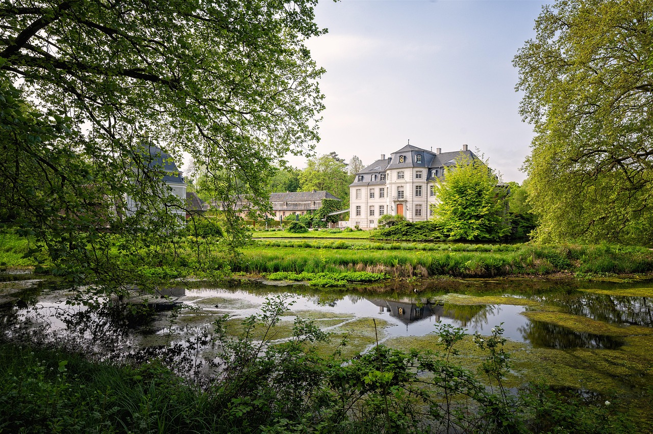 The Hidden Power Of Wetlands To Clean Water And Stop Floods