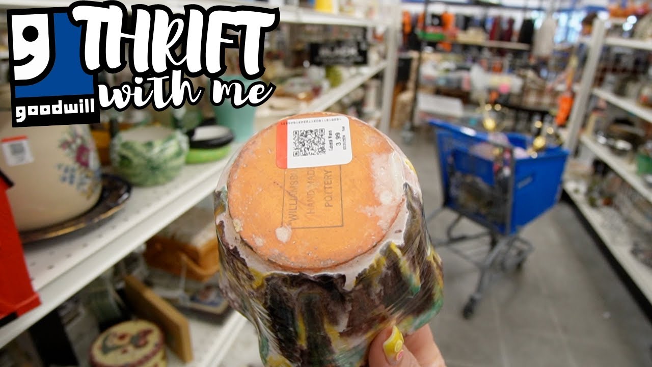 Walked in at the right time at Goodwill haul