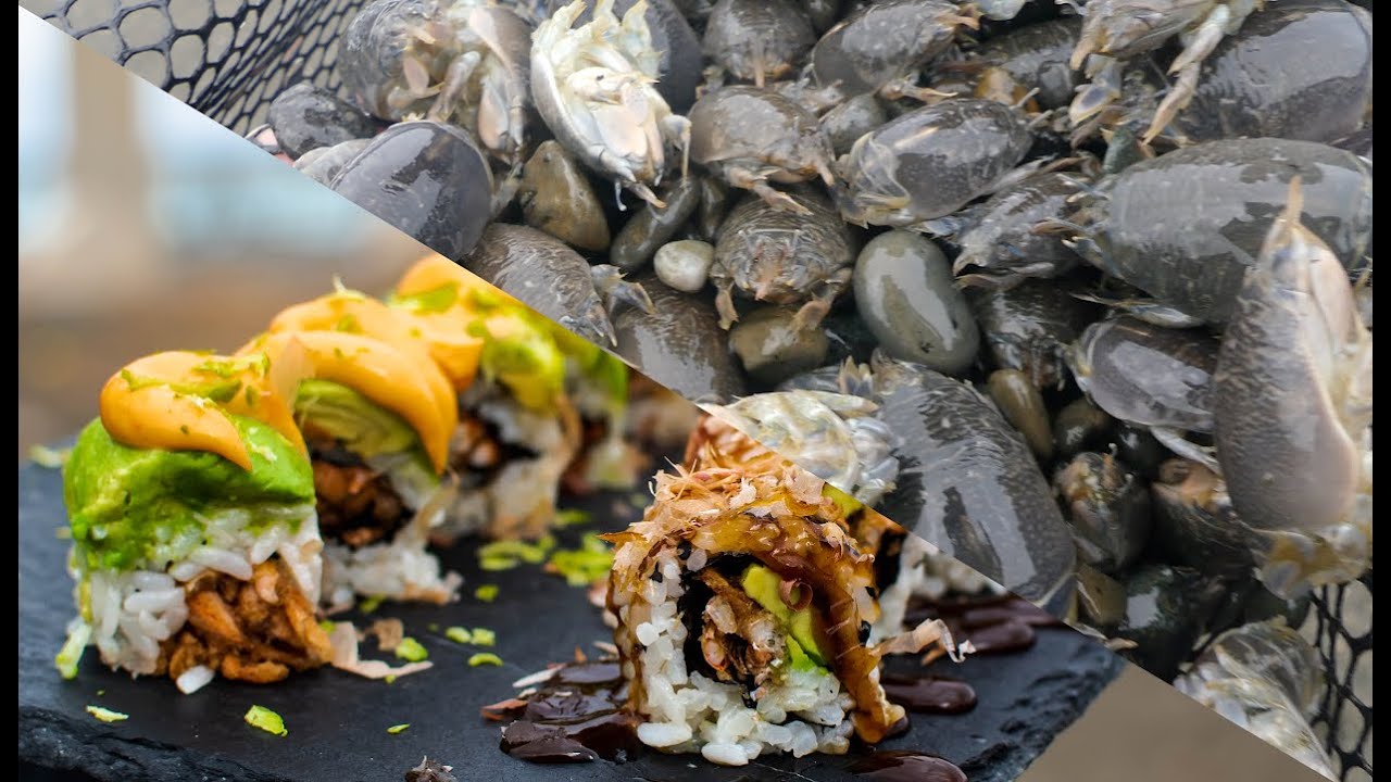 Turning disgusting sand fleas into delicious sushi!
