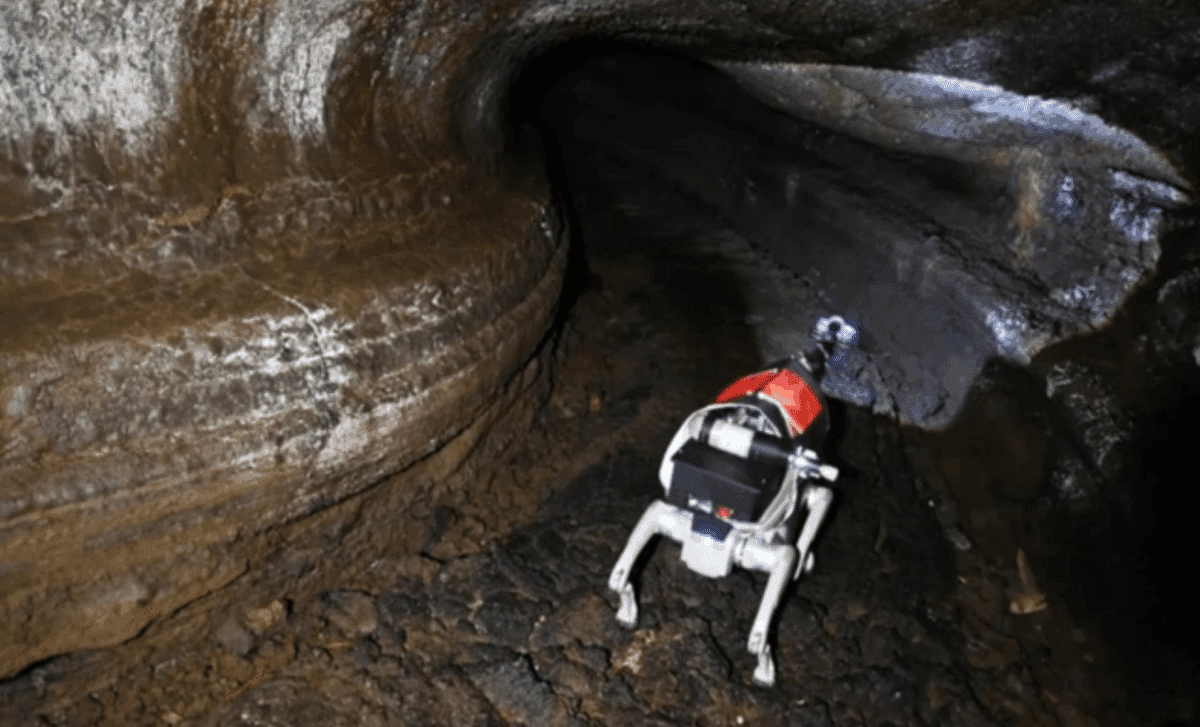 China Tests Robotic Dogs in Moon-Like Terrain to Advance Space Exploration