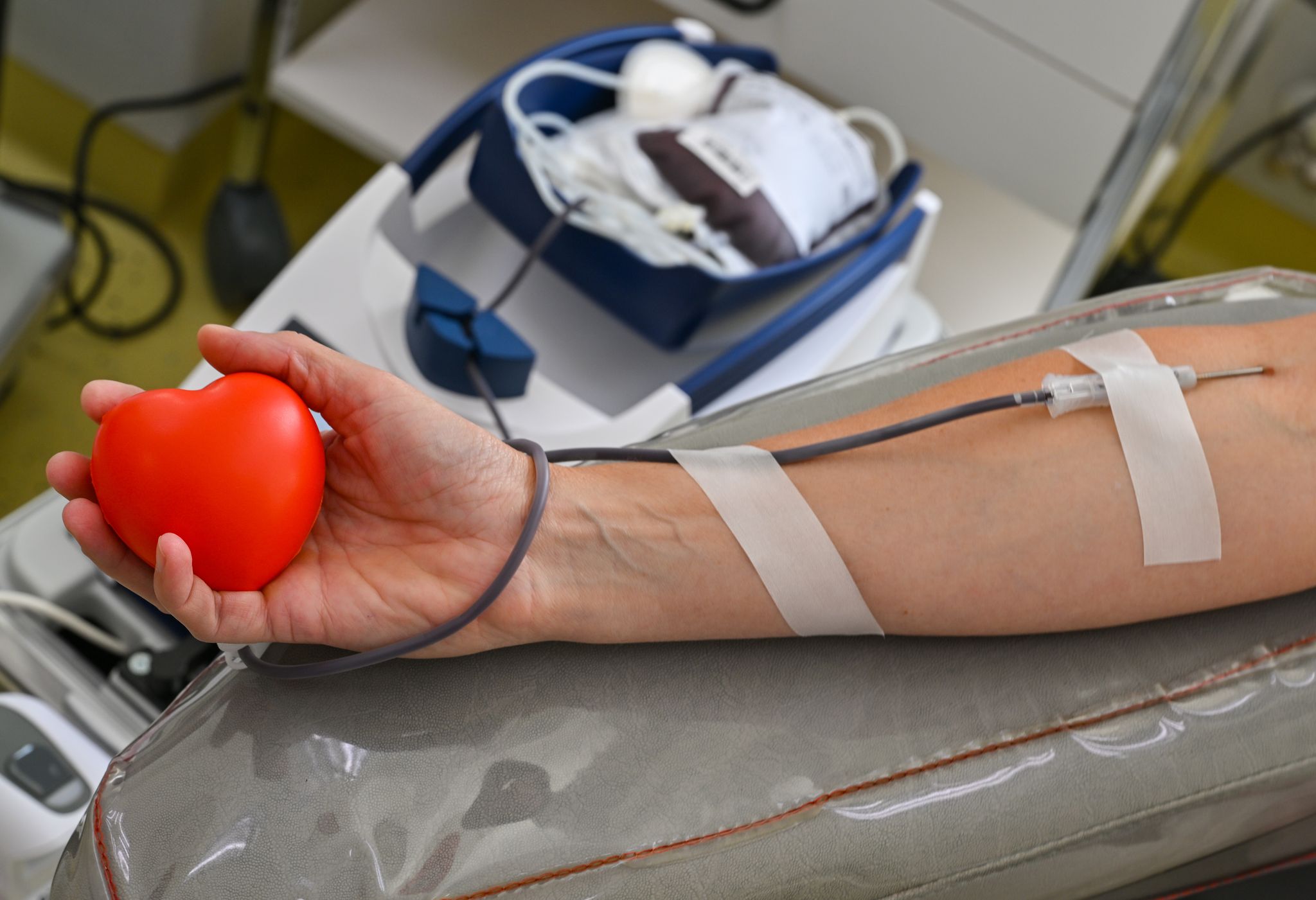 Blut Spenden Kiel