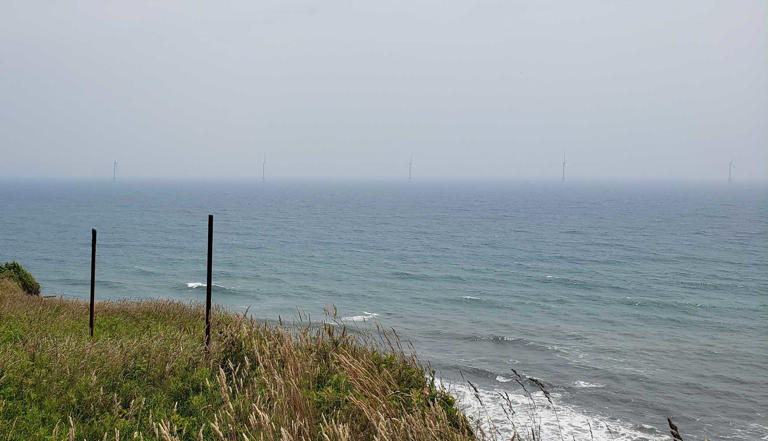 Orsted Slashes 2K Jobs As Trump Fights Offshore Wind Farms