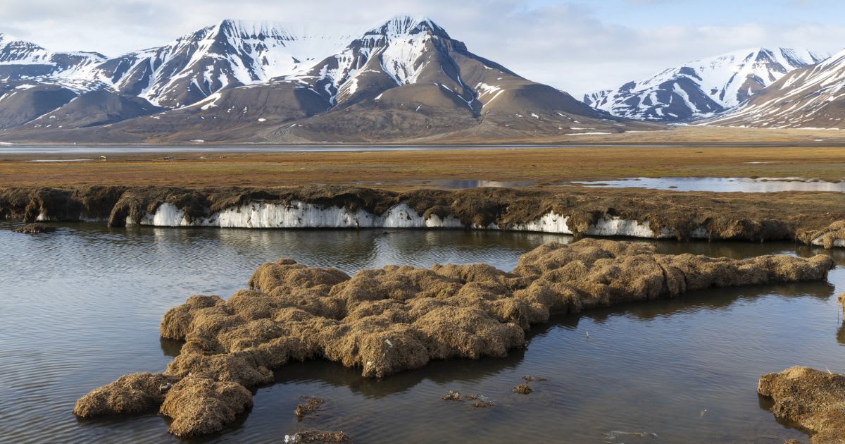 Arctic Microbes Found Alive After 40,000 Years Beneath the Ice