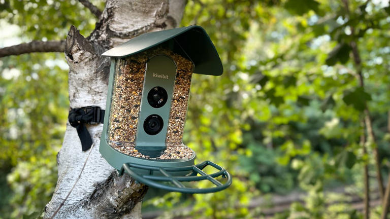 I tested the Kiwibit Beako Smart Bird Feeder camera, and it's a ...