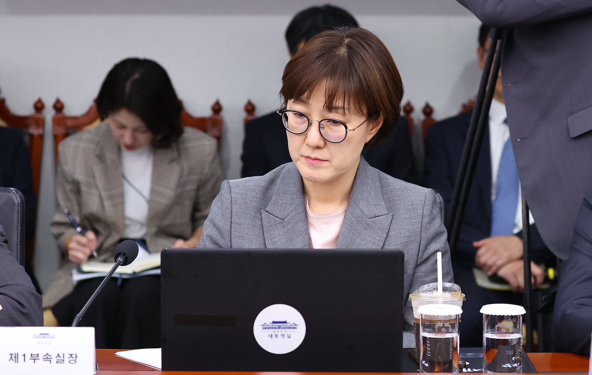 Democratic Party, Presidential Office Avoid Kim's Audit Confirmation