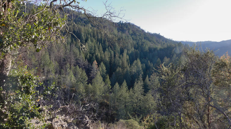 Explore The Natural Beauty Of California's Napa Valley At A Must-Visit ...
