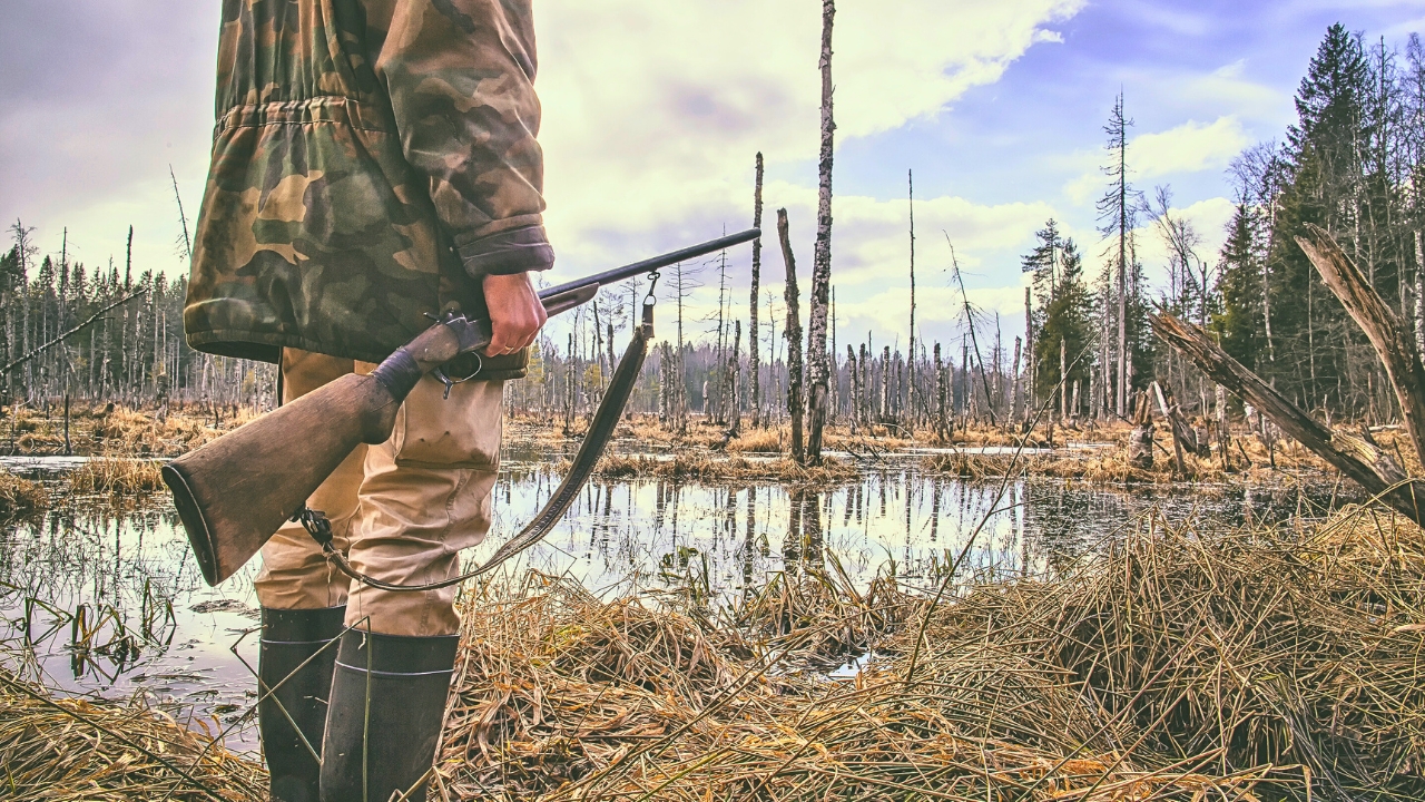 Guns hunters regret taking into the swamp