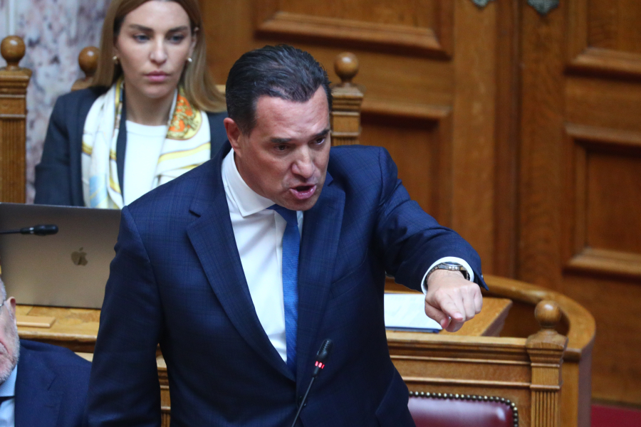 Άγρια κόντρα Γεωργιάδη - Πέρκα στην Ολομέλεια - «Τα χάπια σας τα πήρατε ...