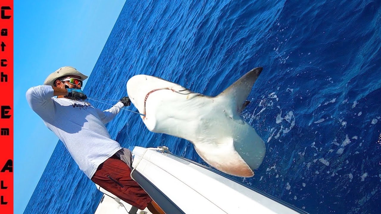 The Jaws That Chased a Fisherman’s Boat for 10 Miles