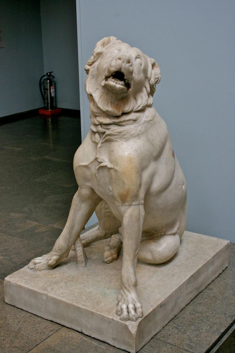 19 Extinct Dog Breeds and How They Shaped Today's Canine World