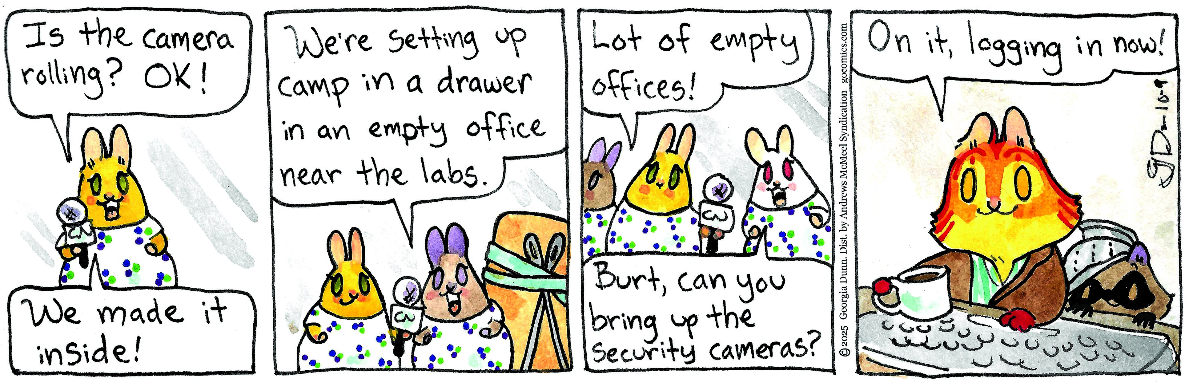 Breaking Cat News by Georgia Dunn