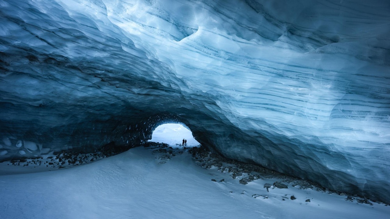 Ice Age bones from 75,000 years ago reveal a lost ecosystem
