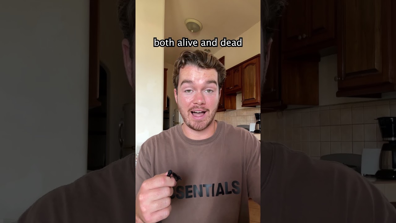 How parallel universes could exist in every decision we make