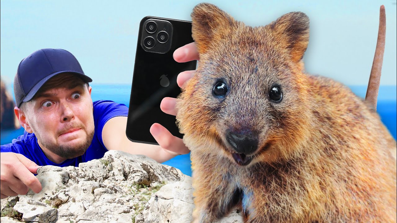 Chasing the Perfect Selfie… Until a Giant Rat Showed Up