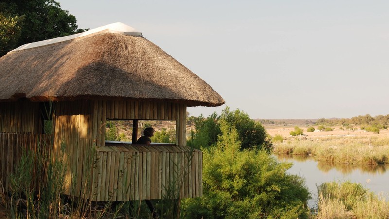 Experience South Africa’s wild side at Skukuza Safari Lodge and Buffalo ...
