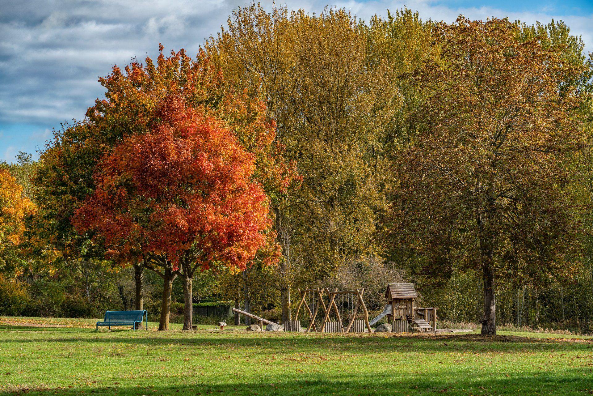 From trails to treats, discover MK’s parks this half term