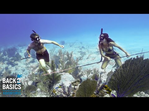 Primitive Spearfishing in The Bahamas - Catching Dinner with Just a Stick!