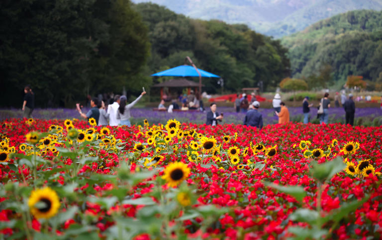 The Opposite of 'No-Fun' Isn't 'Honey Jam'