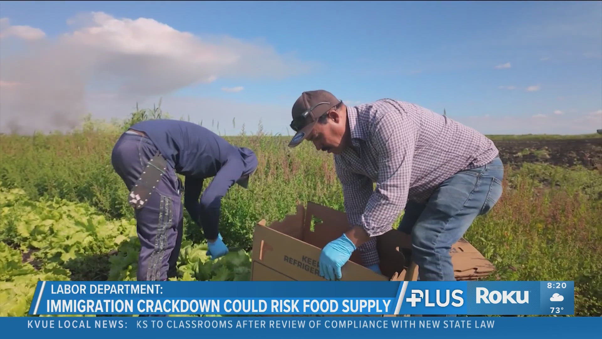 Immigration crackdown could increase risk for US food supply shortages