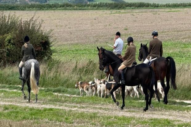 'Step in the right direction' — Isle of Wight hunt drops controversial ...