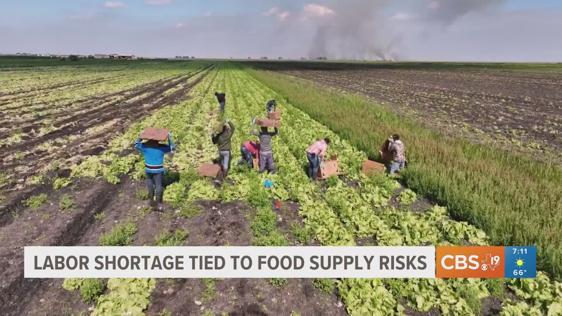 Labor Shortage Tied To Food Supply Risks
