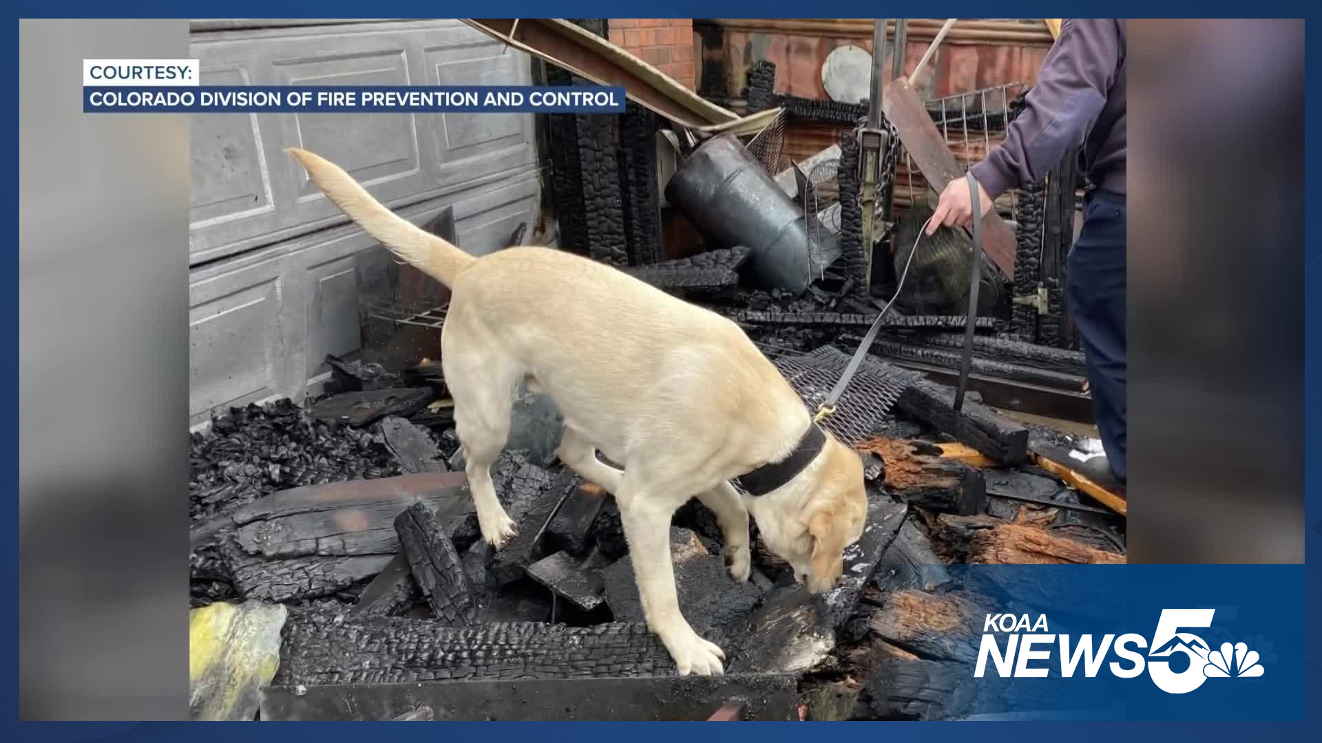 K9 ROTC Retires After 180 Fire Investigations - Meet His Replacement K9 ...
