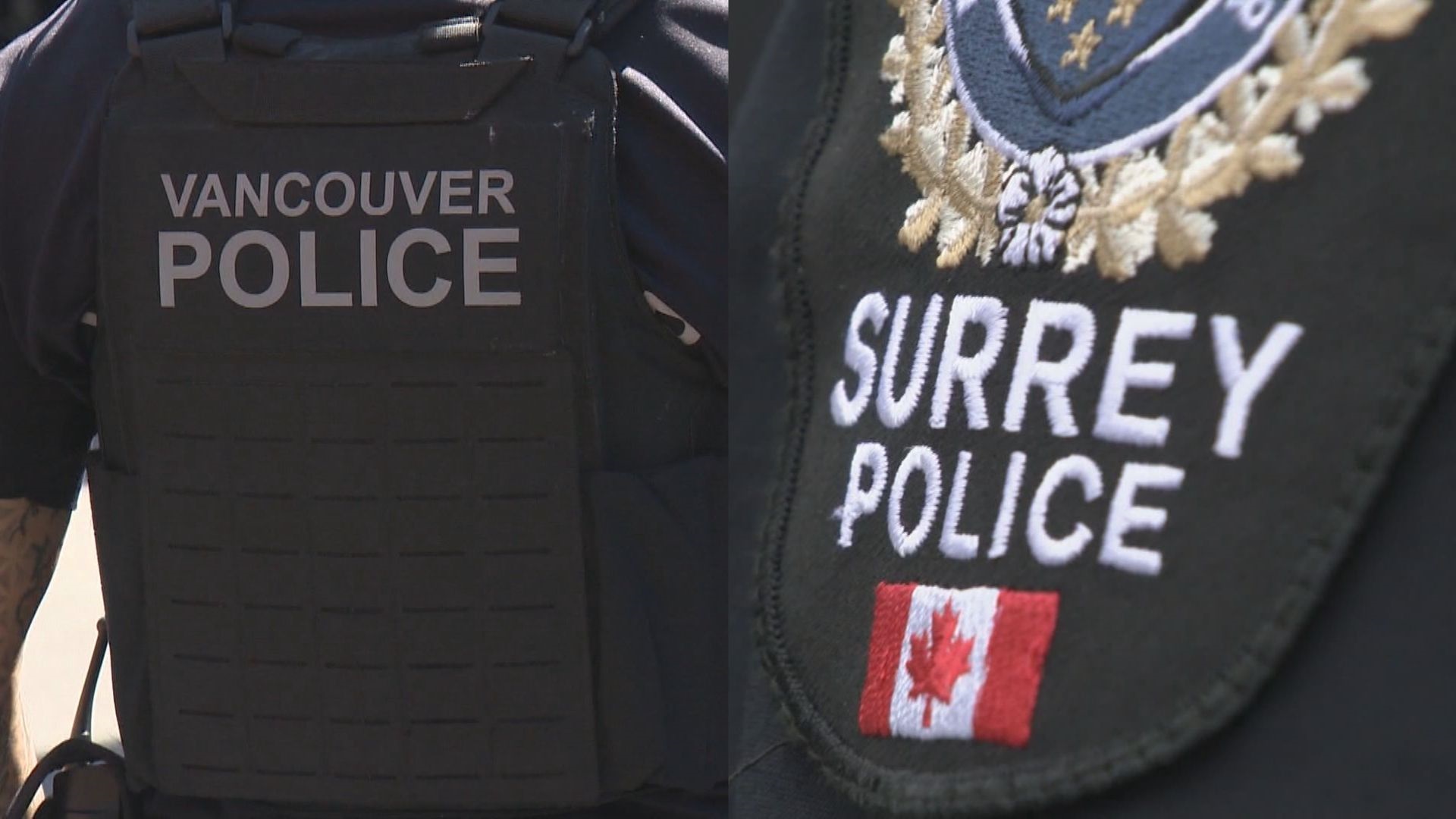 Surrey Police Service proposing satellite training academy