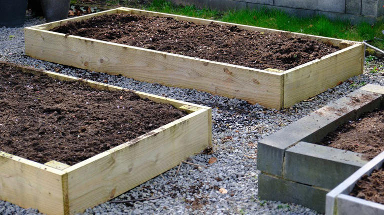 The Most Important Soil Tip For Raised Garden Beds You're Likely Skipping
