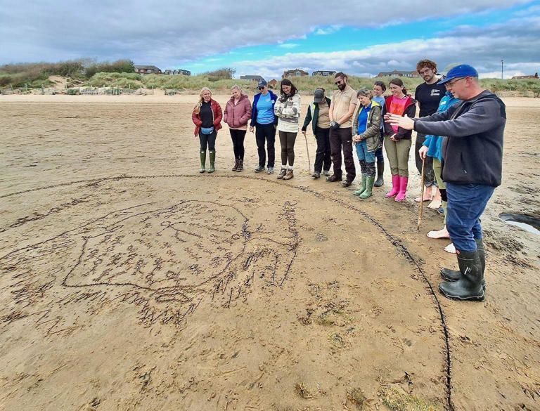 From sand to sea change – beach training inspires adults to engage ...