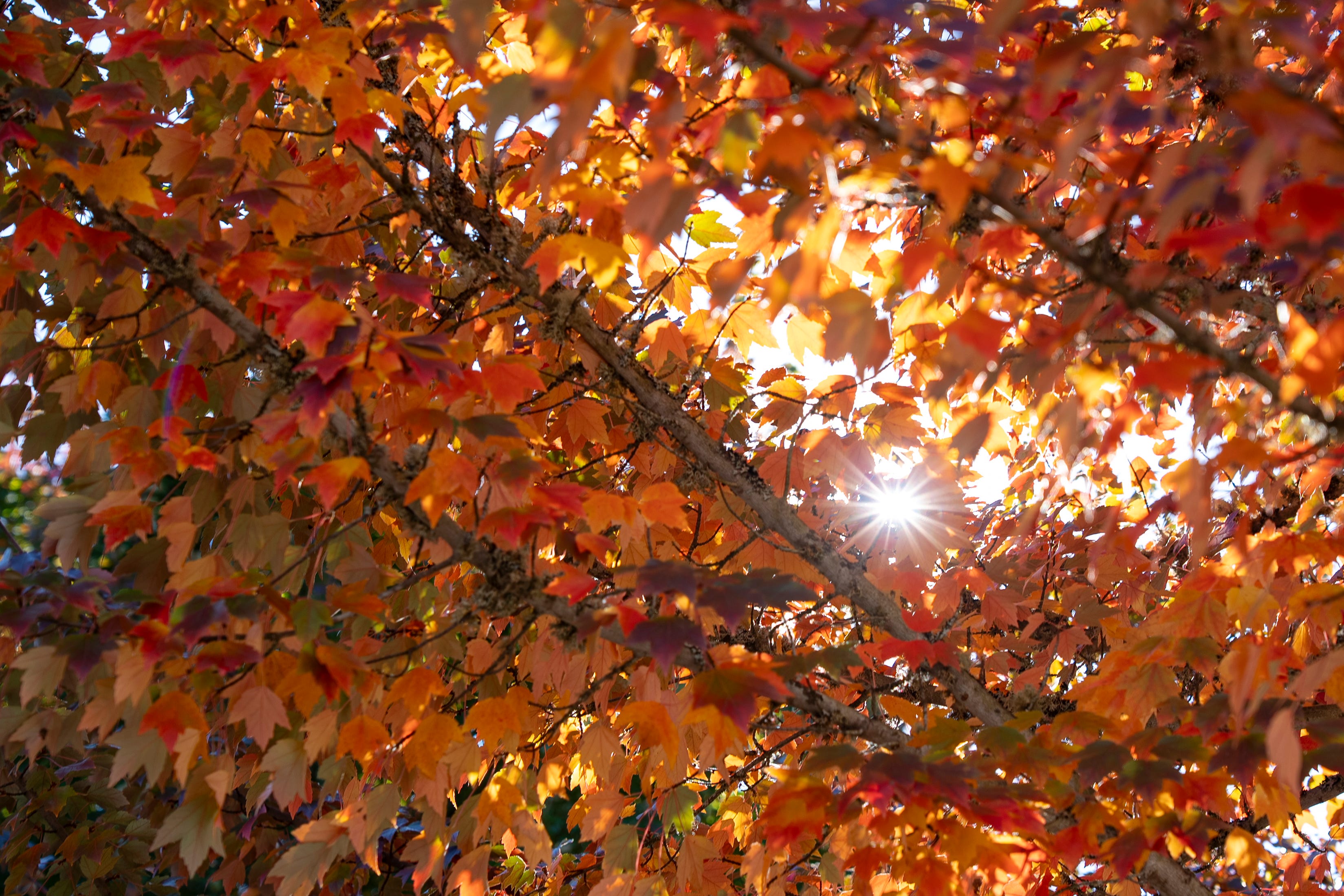 New cold front brings more fall-like weather to Florida Panhandle