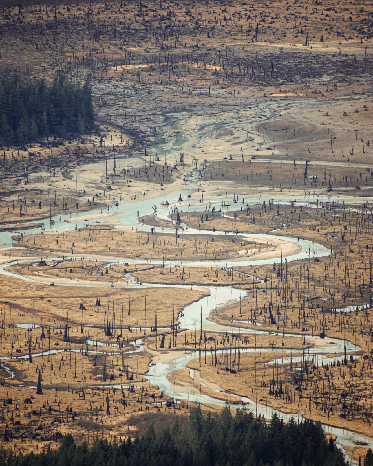 The Natural World, Seen in All its Timeless Glory