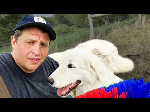 Admitting farm failures and moving forward with lessons learned