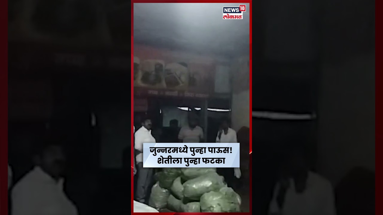 Junnar Rain News | आठ दिवसांच्या विश्रांतीनंतर जुन्नरमध्ये पावसाची ...