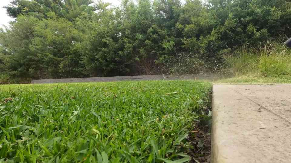 Peaceful ASMR lawn mowing
