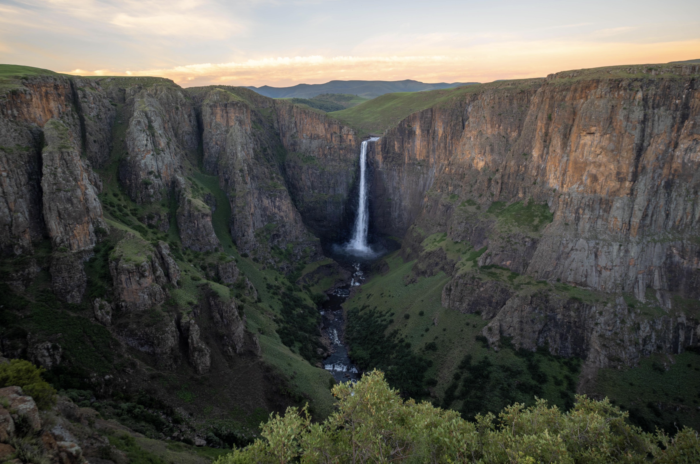 The Natural World, Seen in All its Timeless Glory