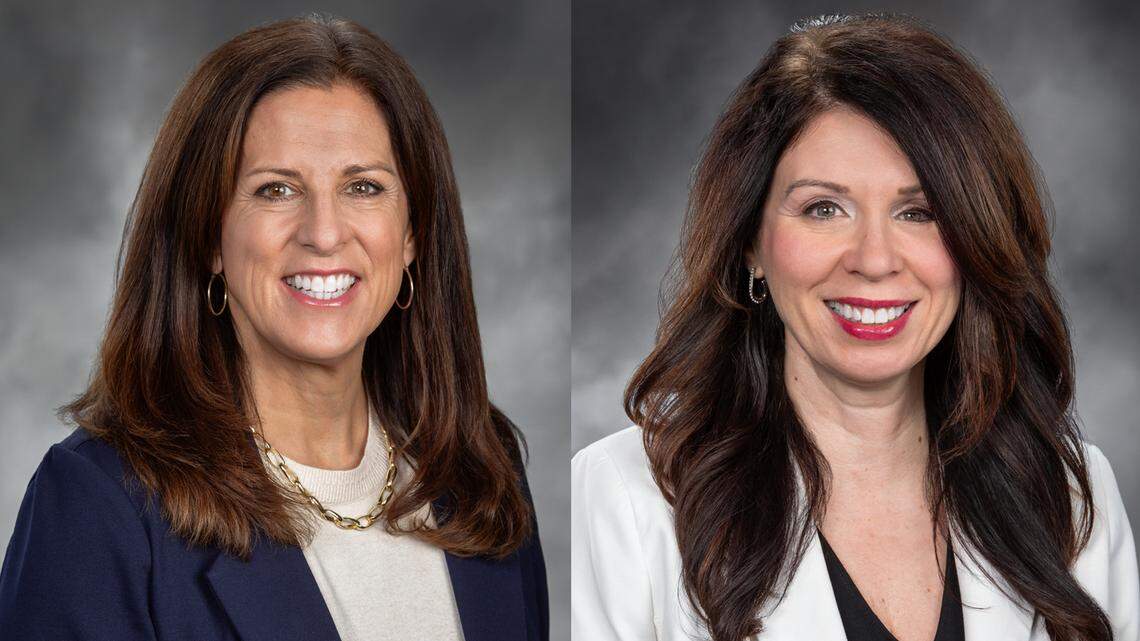 Republican state Rep. Michelle Caldier concedes heated race for state ...