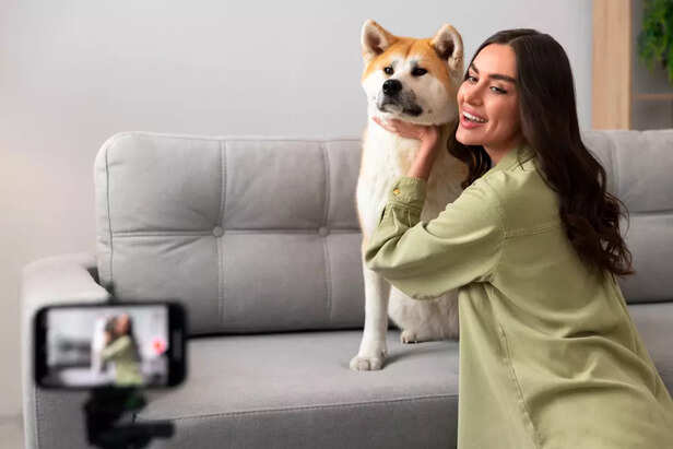 Dogs are born for the cameras and here's why