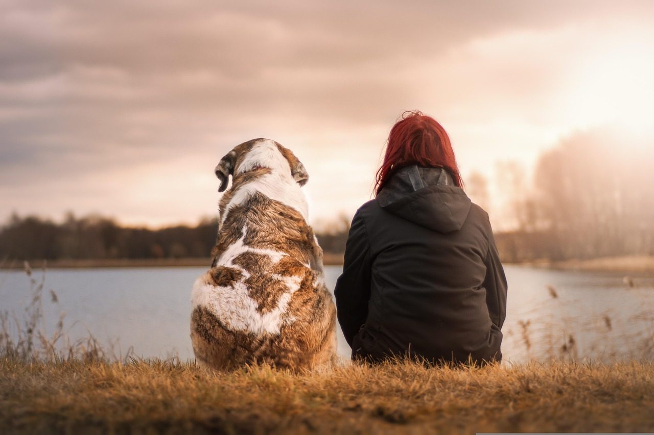 These 9 signs reveal that your dog loves you more than you imagine