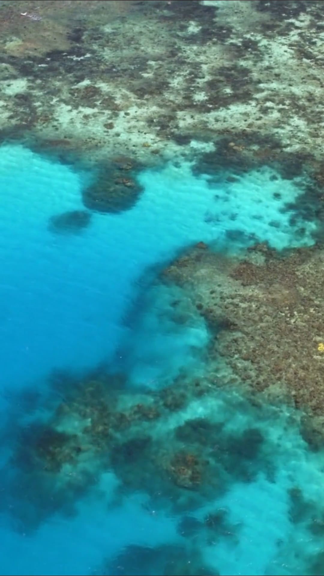 The Great Barrier Reef: Drones Uncover the Coral Kingdom.