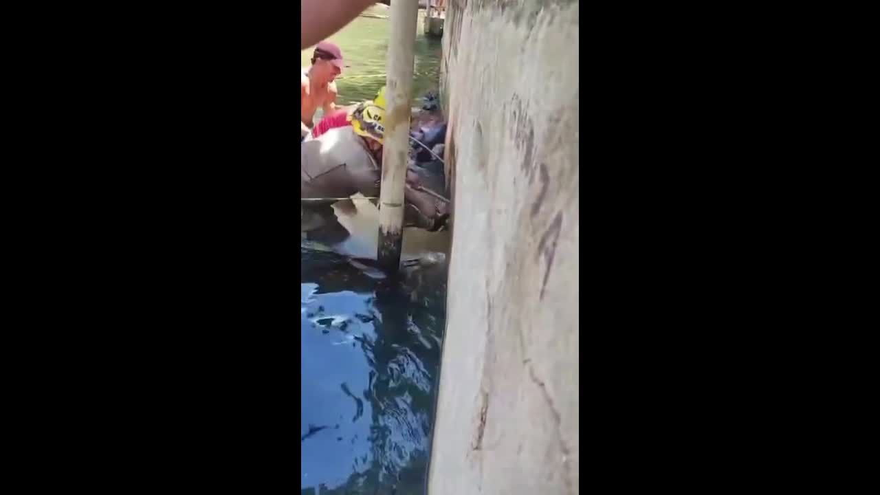 Snake wranglers remove 20ft anaconda hiding near hotel bathing area