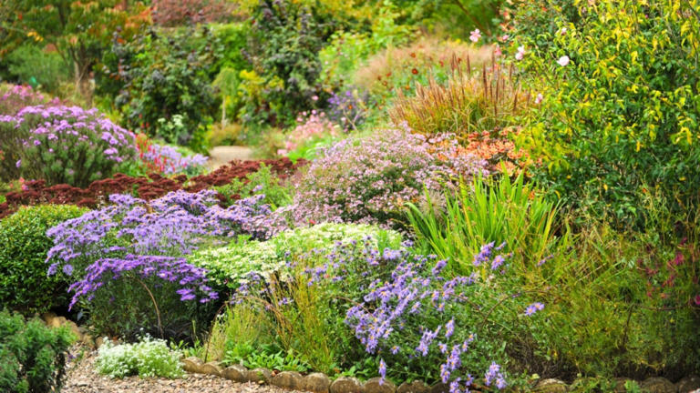 The Native Plant 70/30 Rule: Beautiful and Eco-Friendly Garden Design