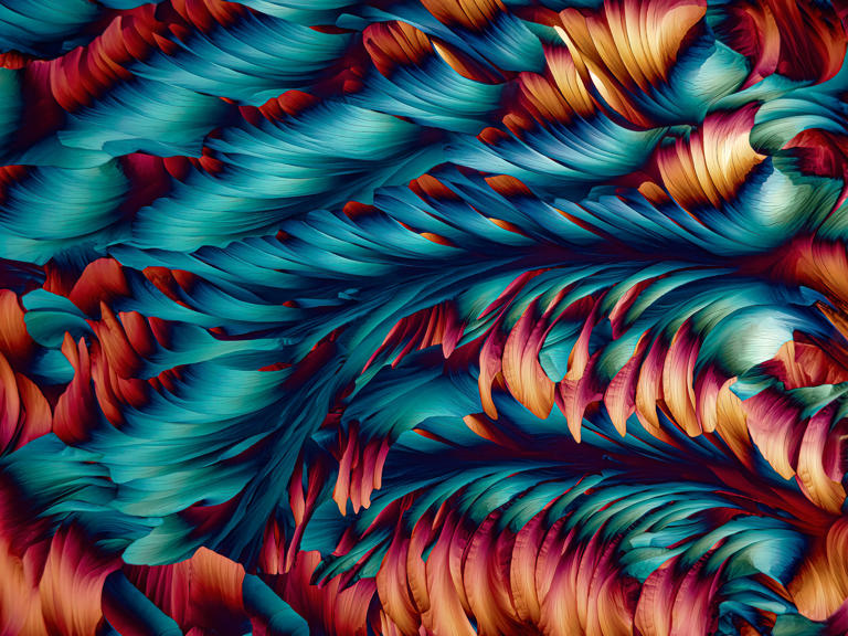 Photos from under the microscope: Winners of Nikon Small World 2025