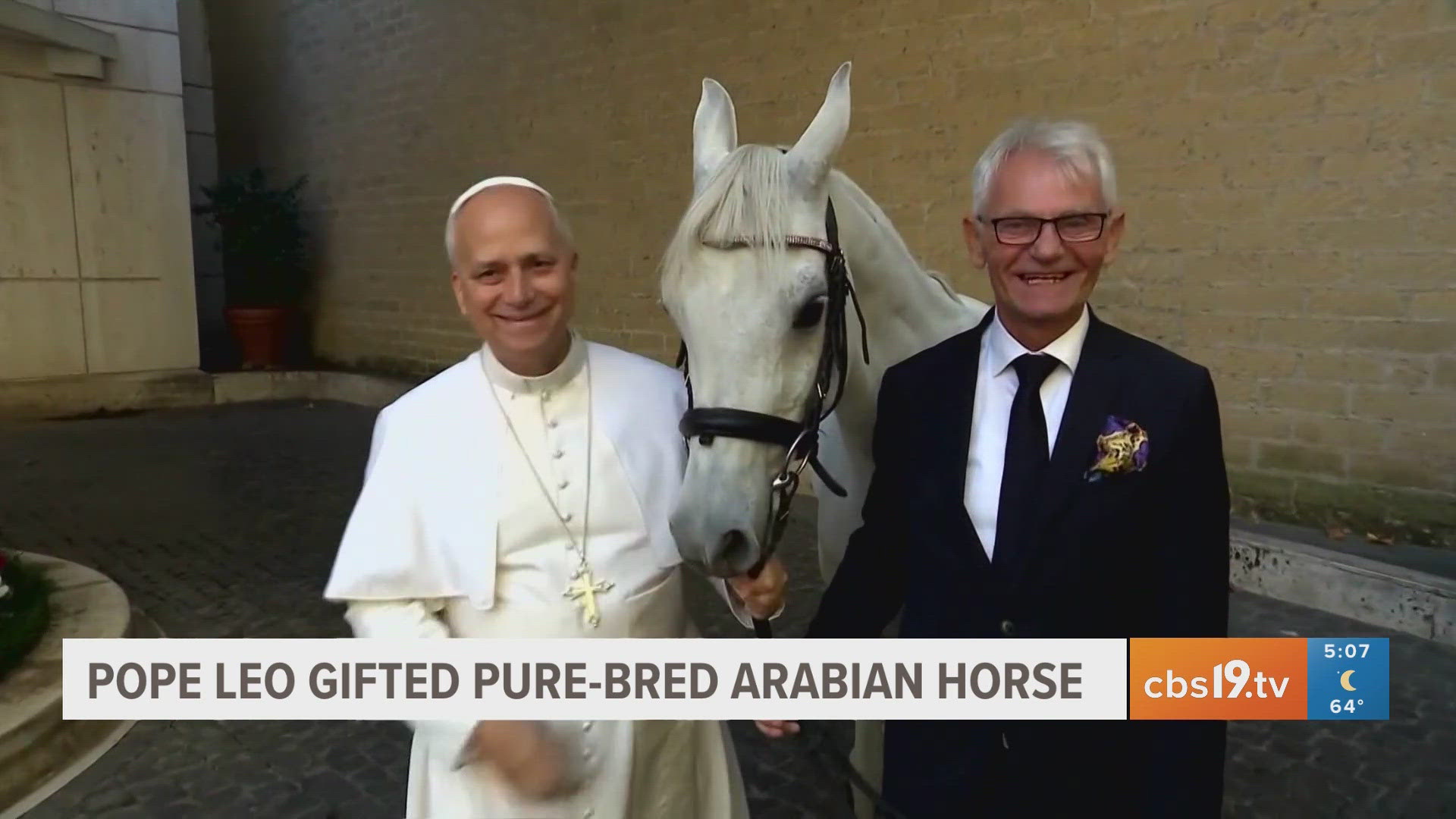 Pope Leo XIV gifted pure-bred Arabian horse