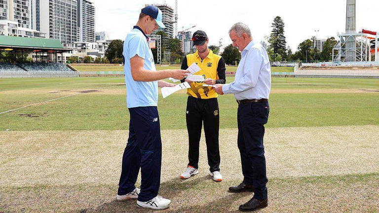 What is the DLS method and how does it work?