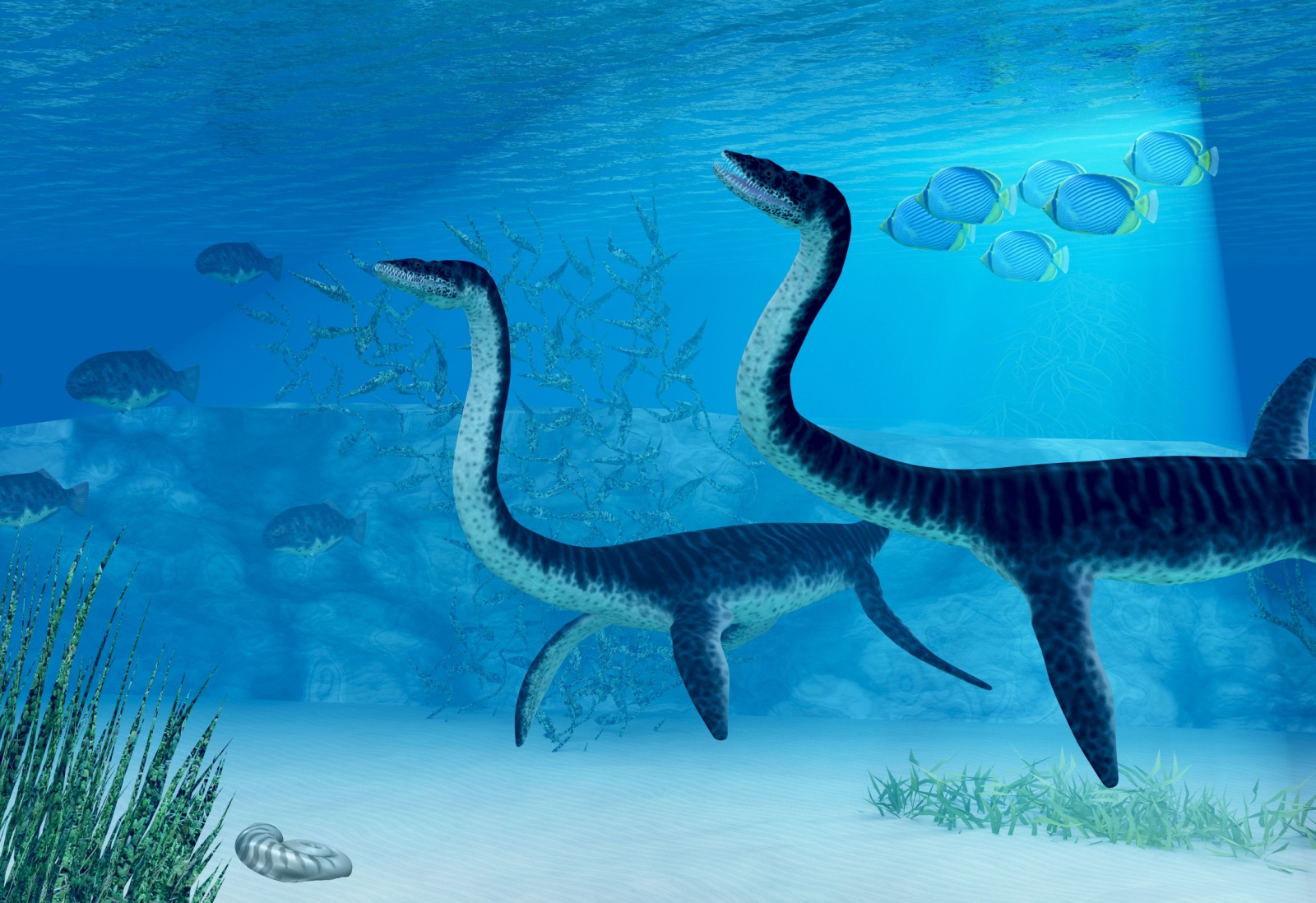 Dinosaurs That Lived Underwater And Dominated Ancient Seas