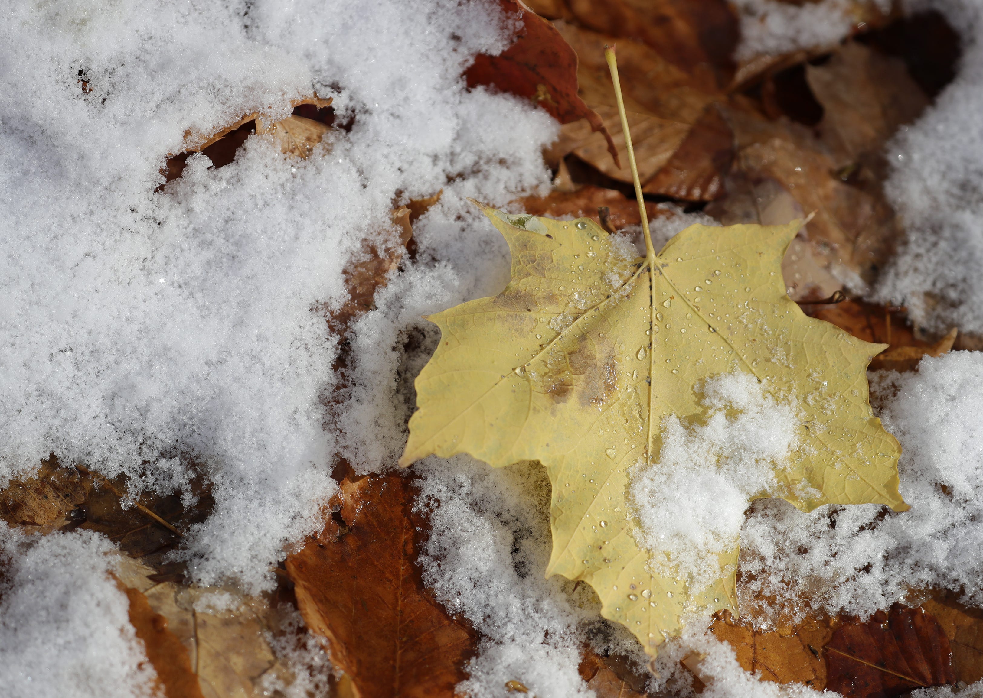 Snow is coming to the Fox Valley this weekend. Here's what to expect