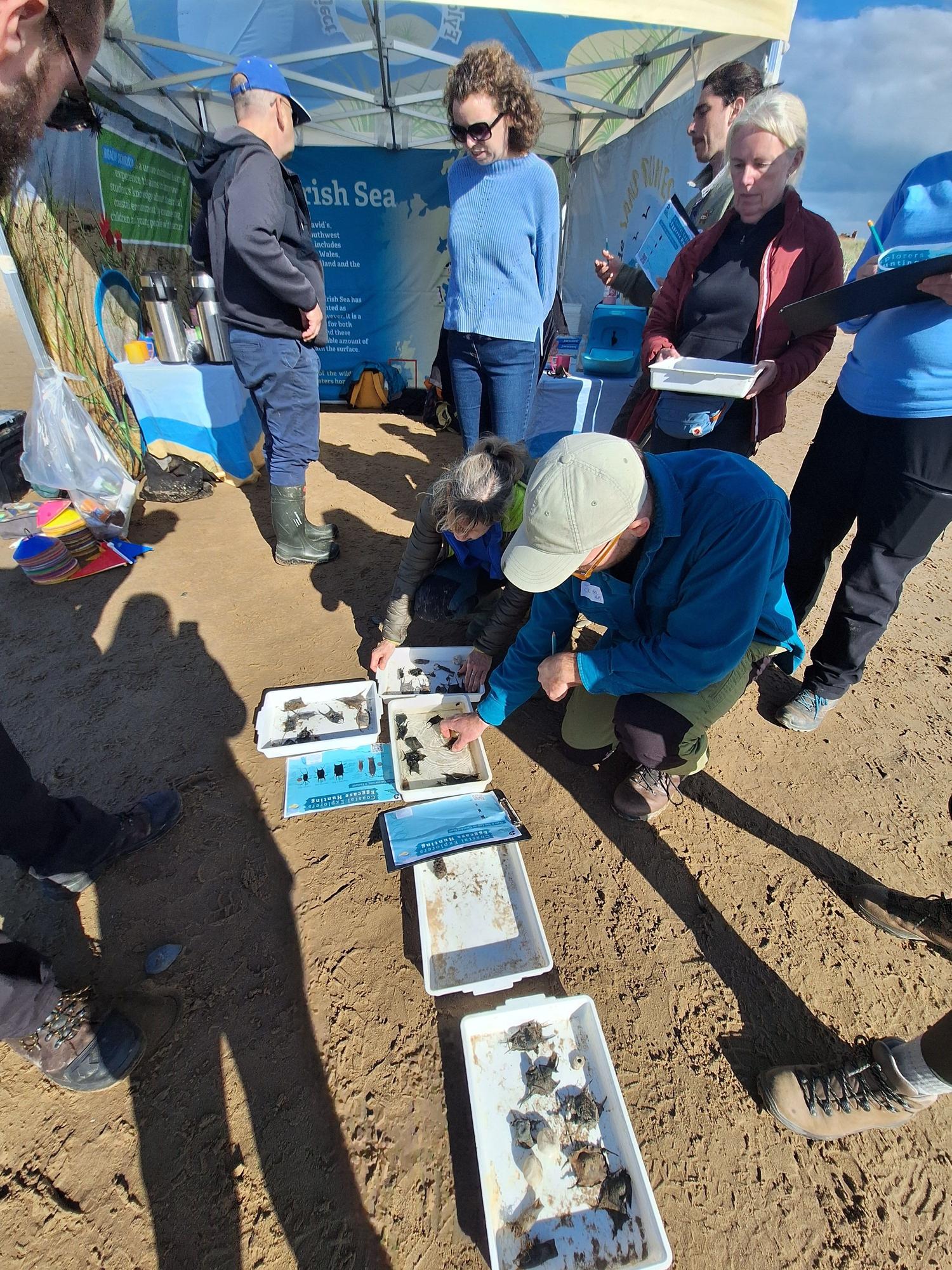 From sand to sea change – beach training inspires adults to engage ...