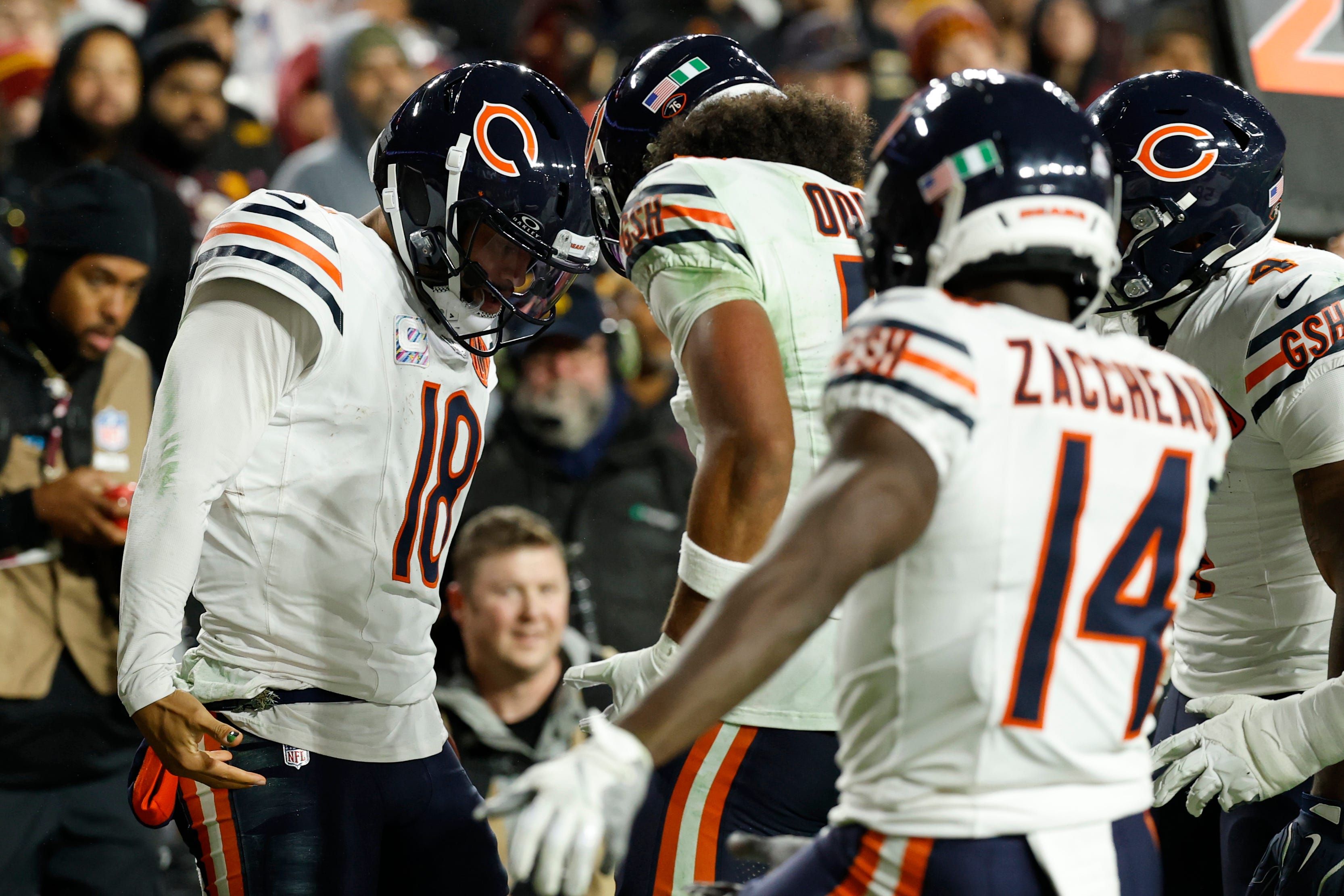 Bears hope to make the NFC North even more interesting