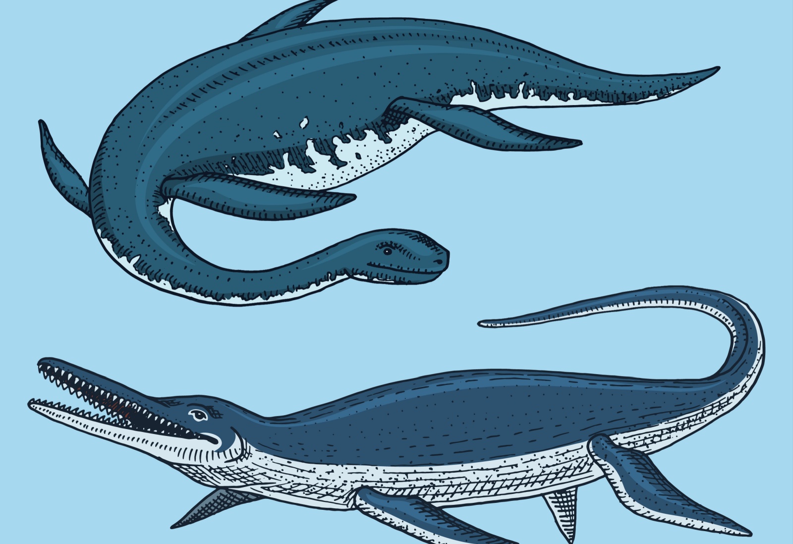 Dinosaurs That Lived Underwater And Dominated Ancient Seas