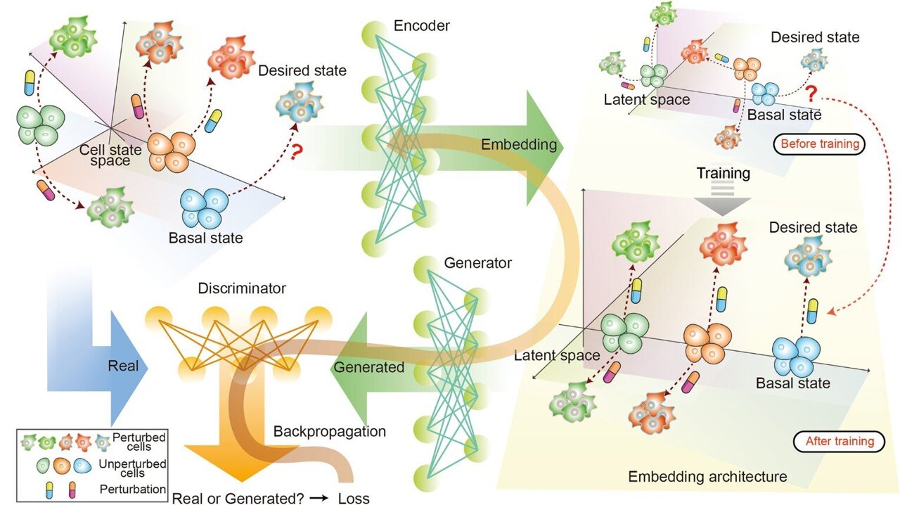 Generative AI predicts and assembles cell drug responses like Lego blocks